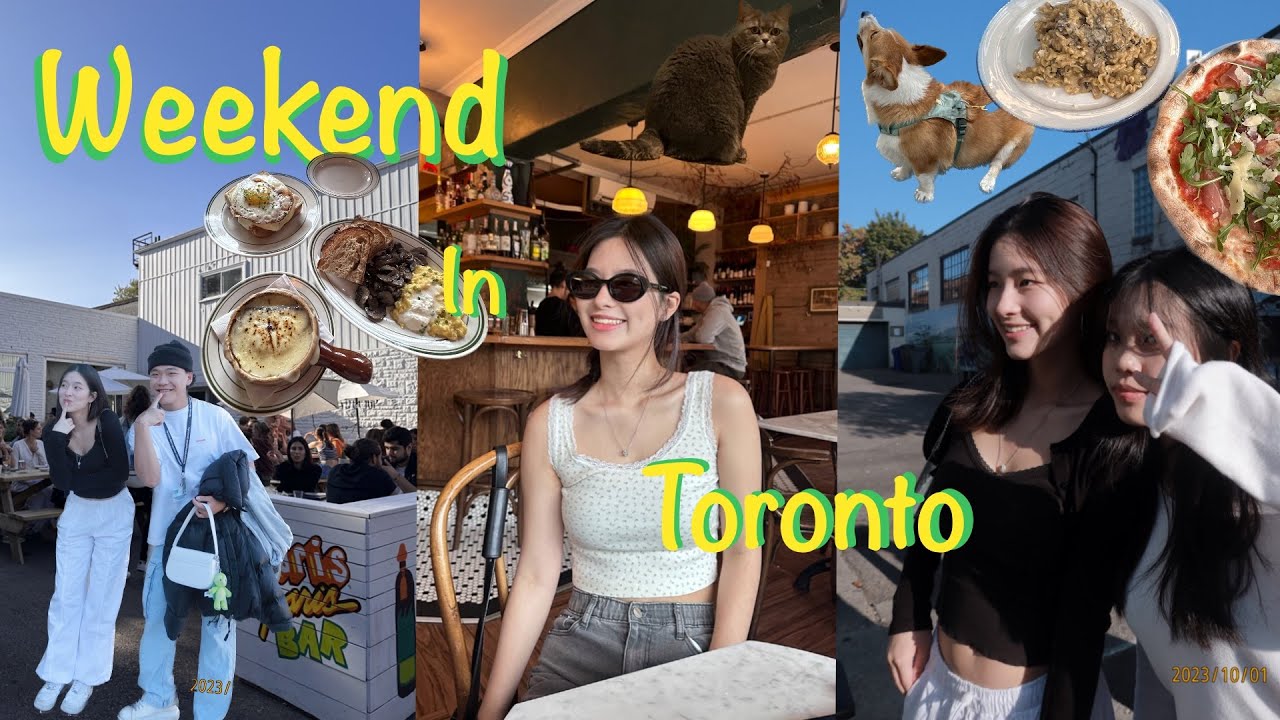 weekend in toronto vlog | life updates, friend date & productive days ...