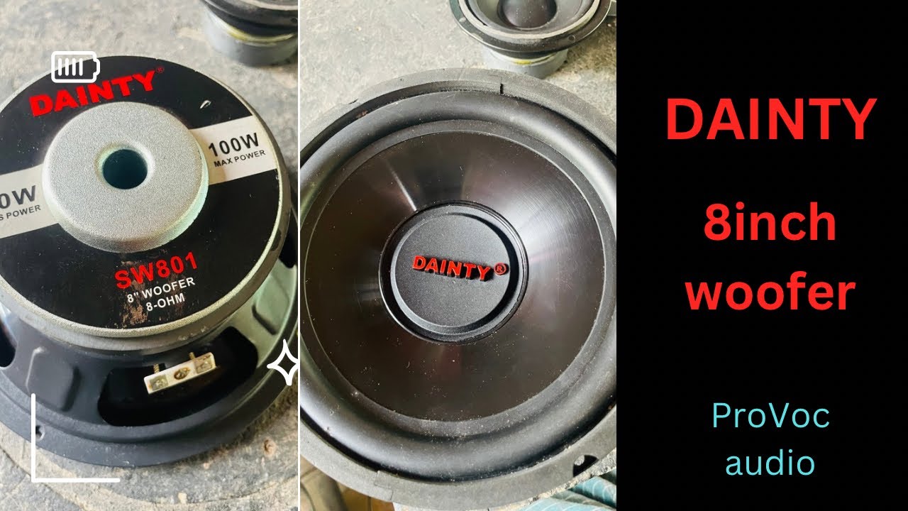 Dainty sw801 8inch woofer - YouTube