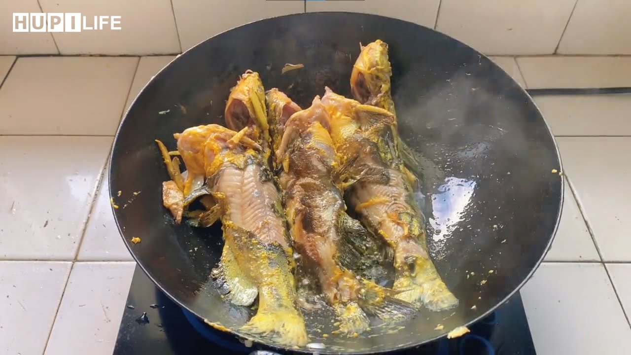 Family Farm | Picking wild mushroom, cook fish soup with tofu and stir ...