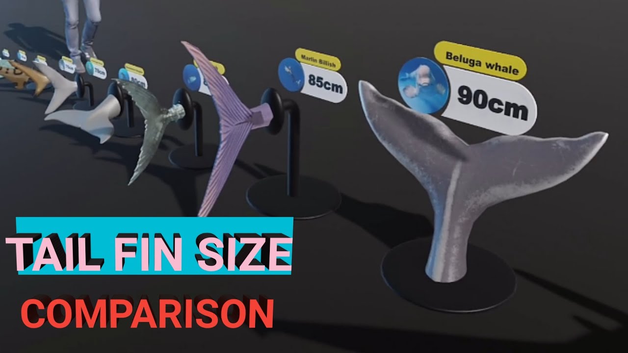 Fail Fin Size Comparison|| Fail Fin Animal Size Comparison #Fail#Fail ...