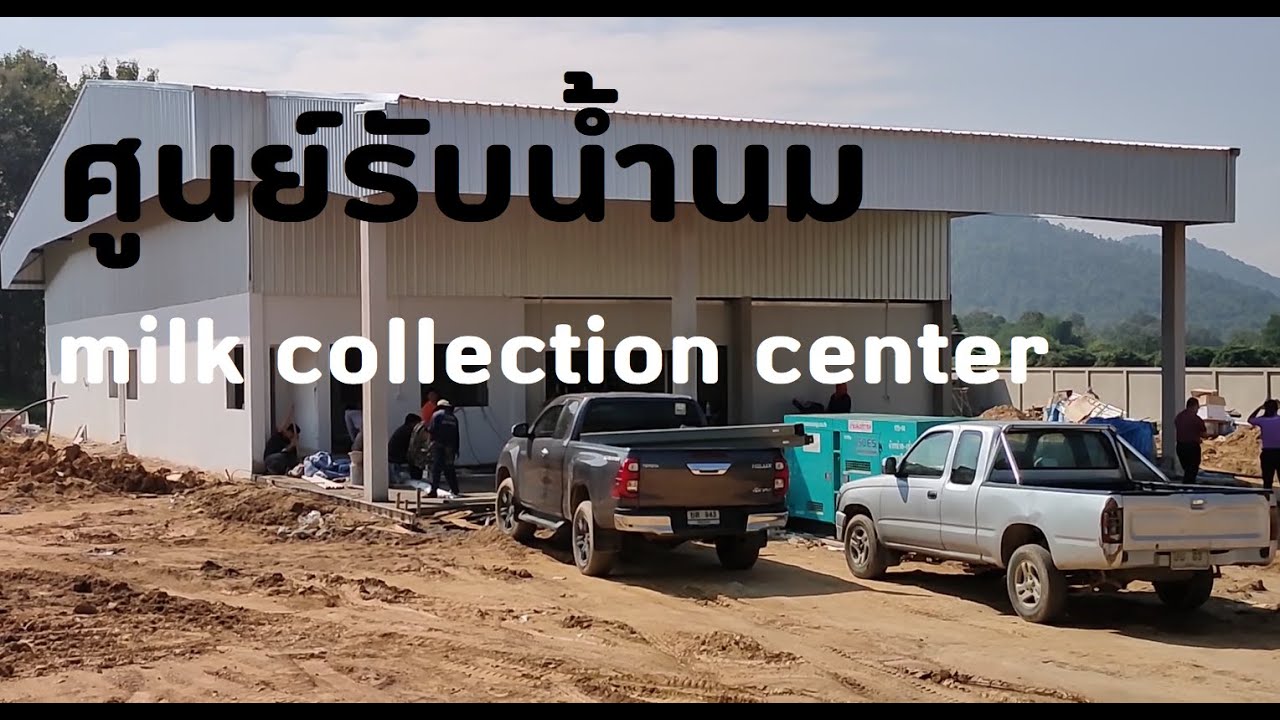 การสร้างศูนย์รับน้ำนม milk collection center in Thailand - YouTube