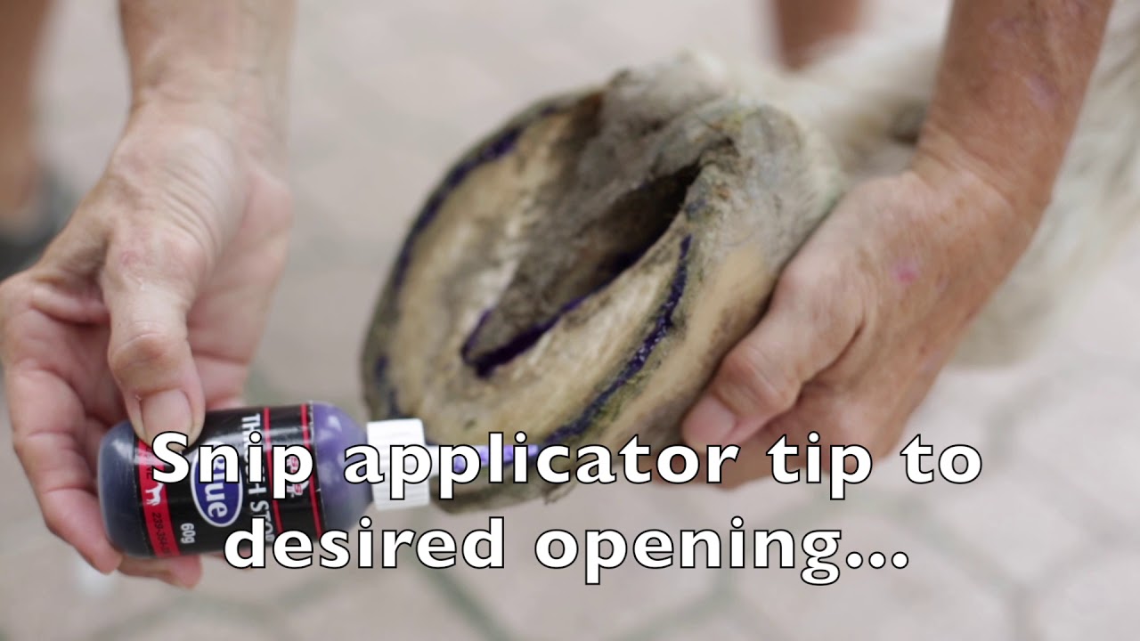 Thrush Stop BLUE Instructional Video - YouTube