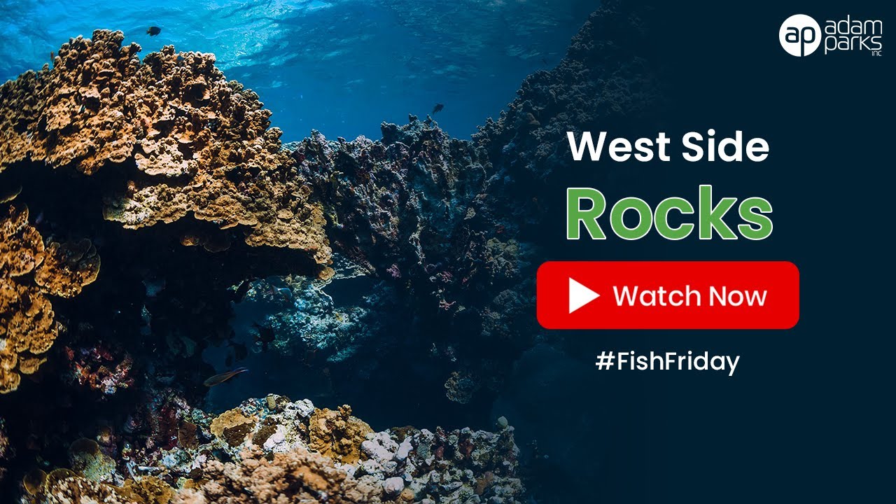 West Side Rocks - YouTube