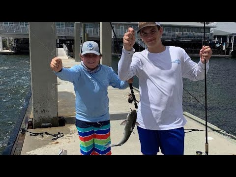 HOW TO CATCH FISH OFF A DOCK!! - YouTube