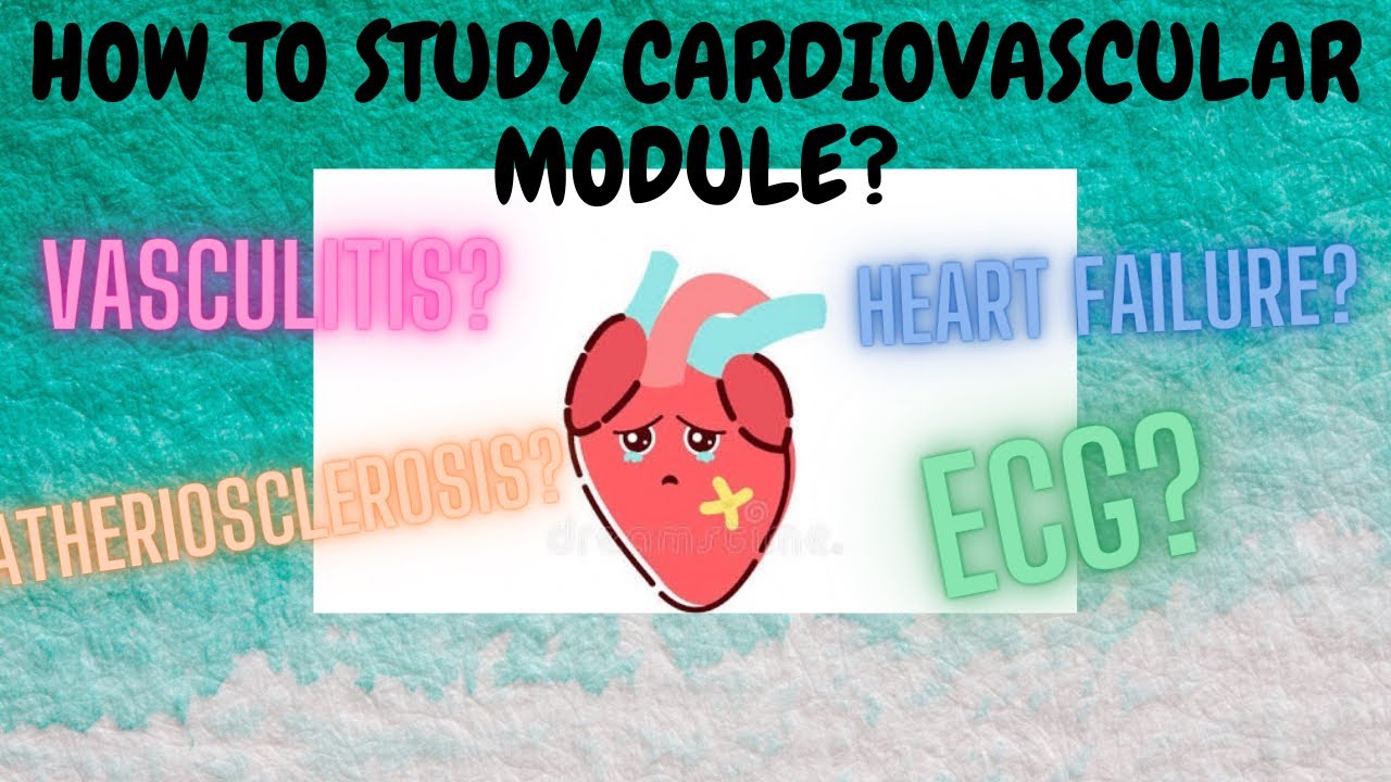 How to study CARDIO-VASCULAR MODULE? (Complete cardio module guidelines ...