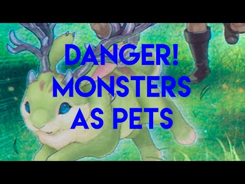 Yu-Gi-Oh! 🔴 Which Danger! Monster Would Make The *BEST* Pet?