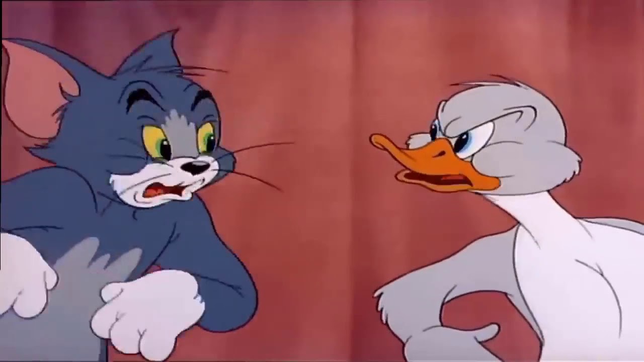 Tom y Jerry en Español Little Quacker + Down and Outing Dibujos ...