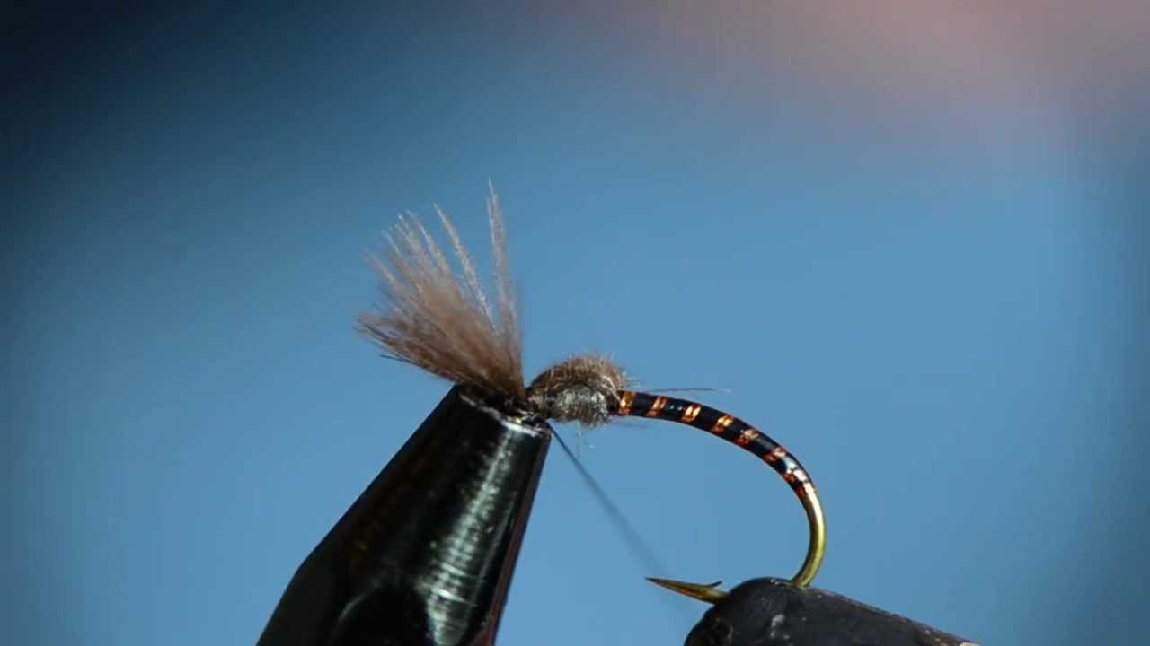 Copper midge hatch - YouTube