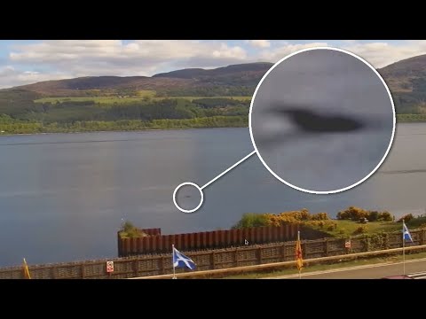 Loch Ness "Baby" Monster sighting, speed slowed to 0.5, captured on ...