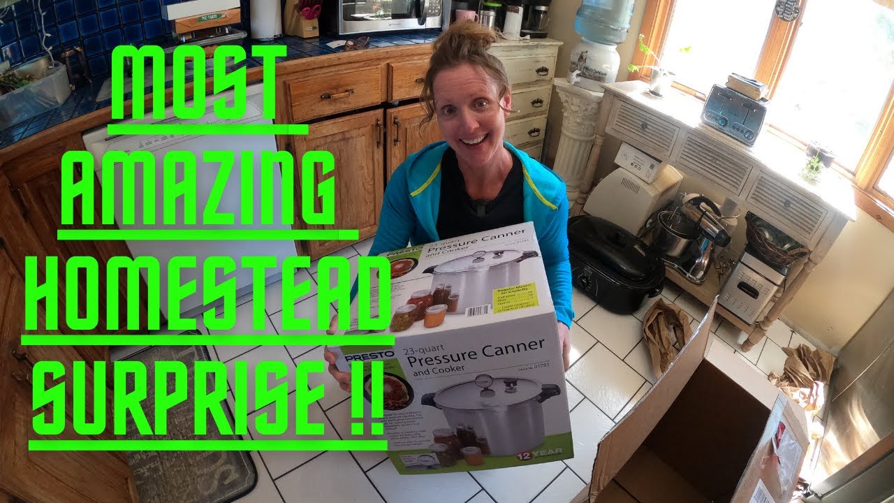 The Most Amazing Homestead Surprise - YouTube