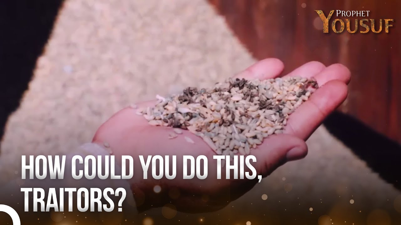 The Treacherous Game of the Templars | Prophet Yousuf - YouTube