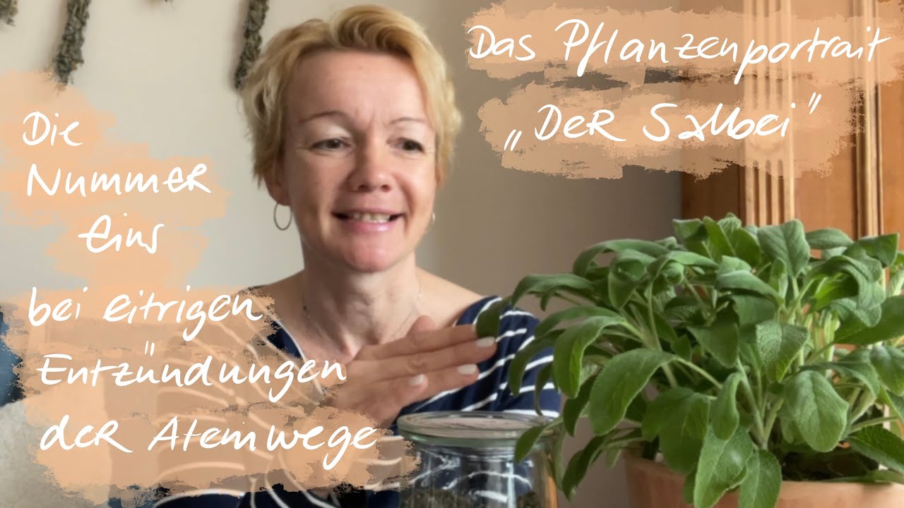 Der Salbei - Die Nummer eins bei eitrigen Entzündungen der Atemwege ...