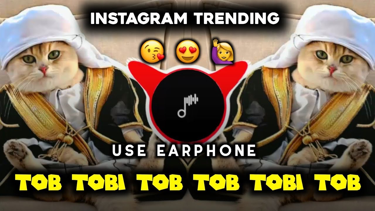 Tob Tobi Tob Tob Tobi Tob Muslim Cat Original Video| Tob Tobi Tob Tob ...