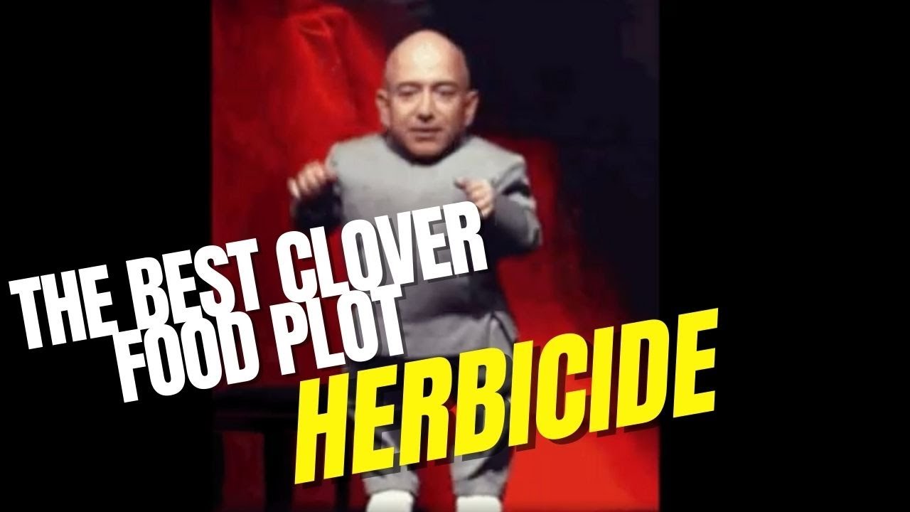 The BEST Herbicide for a CLOVER FOOD PLOT - Part 1 - YouTube