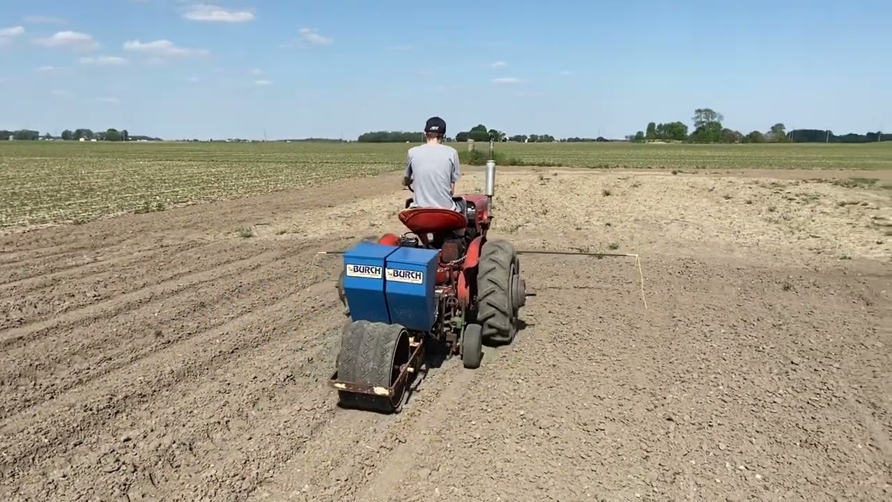 Sweetcorn planting with antique Burch Planter (twin row) and a Power ...