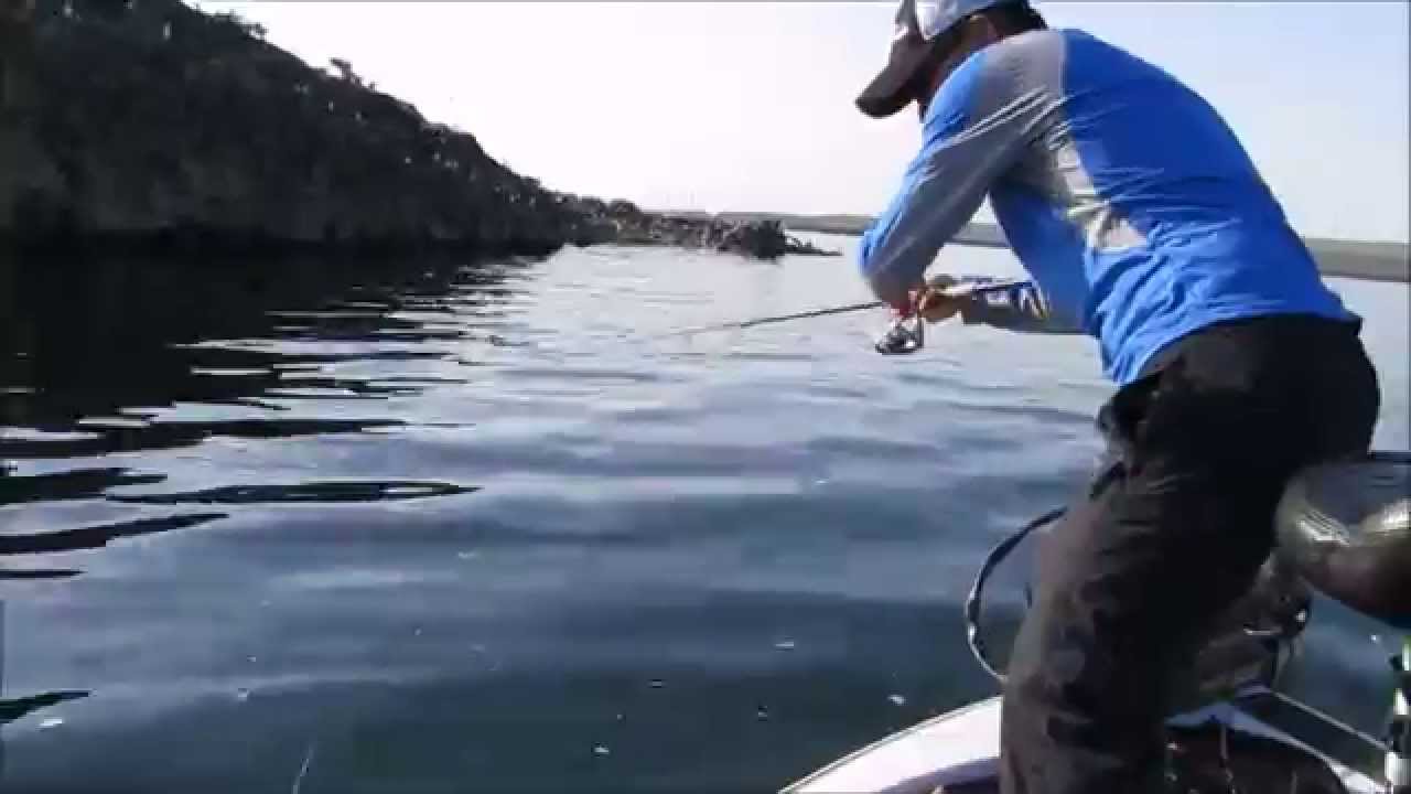Bass Fishing - Potholes Reservoir 2015 - YouTube