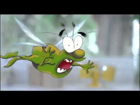 Raid One Shot 2010 - YouTube