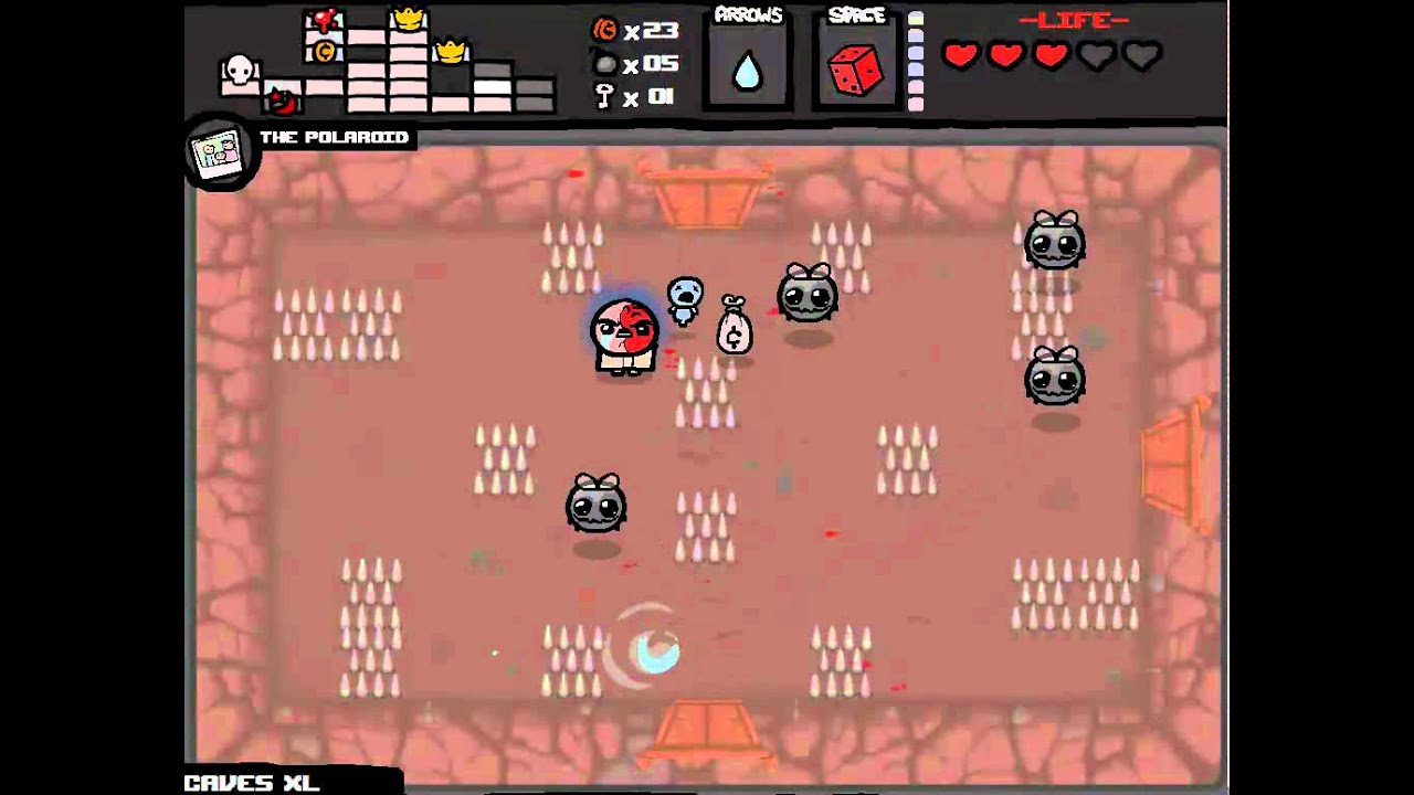 The Polaroid and Triachnid? - The Binding of Isaac - Wrath of the Lamb ...