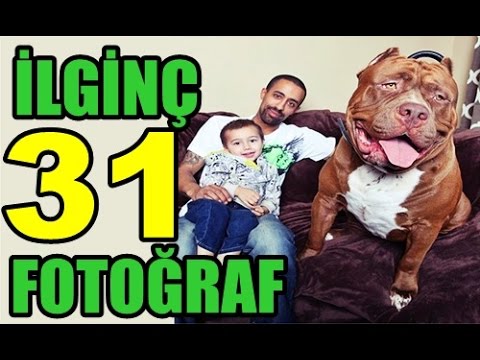 2015 Yılında Karşımıza Çıkmış 31 İlginç Fotoğraf