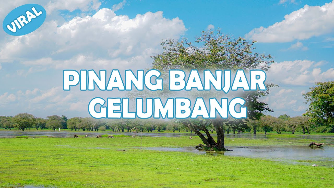 VIRAL WISATA PINANG BANJAR JADI FAVORIT MASYARAKAT - YouTube