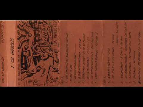 THE GEROGERIGEGEGE 'Yu Gung / Senzuri Boy Pt. 2' (1986 comp track ...