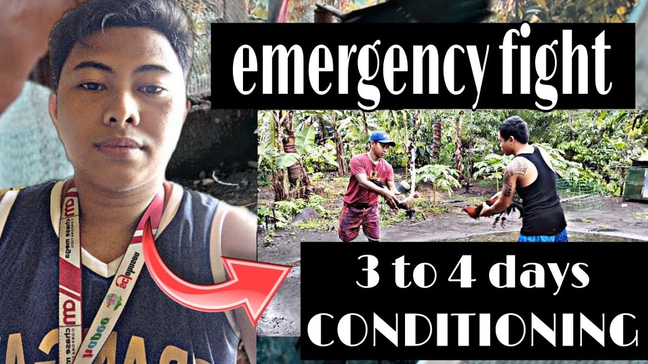 3 TO 4 DAYS CONDITIONING / EMERGENCY FIGHT - YouTube