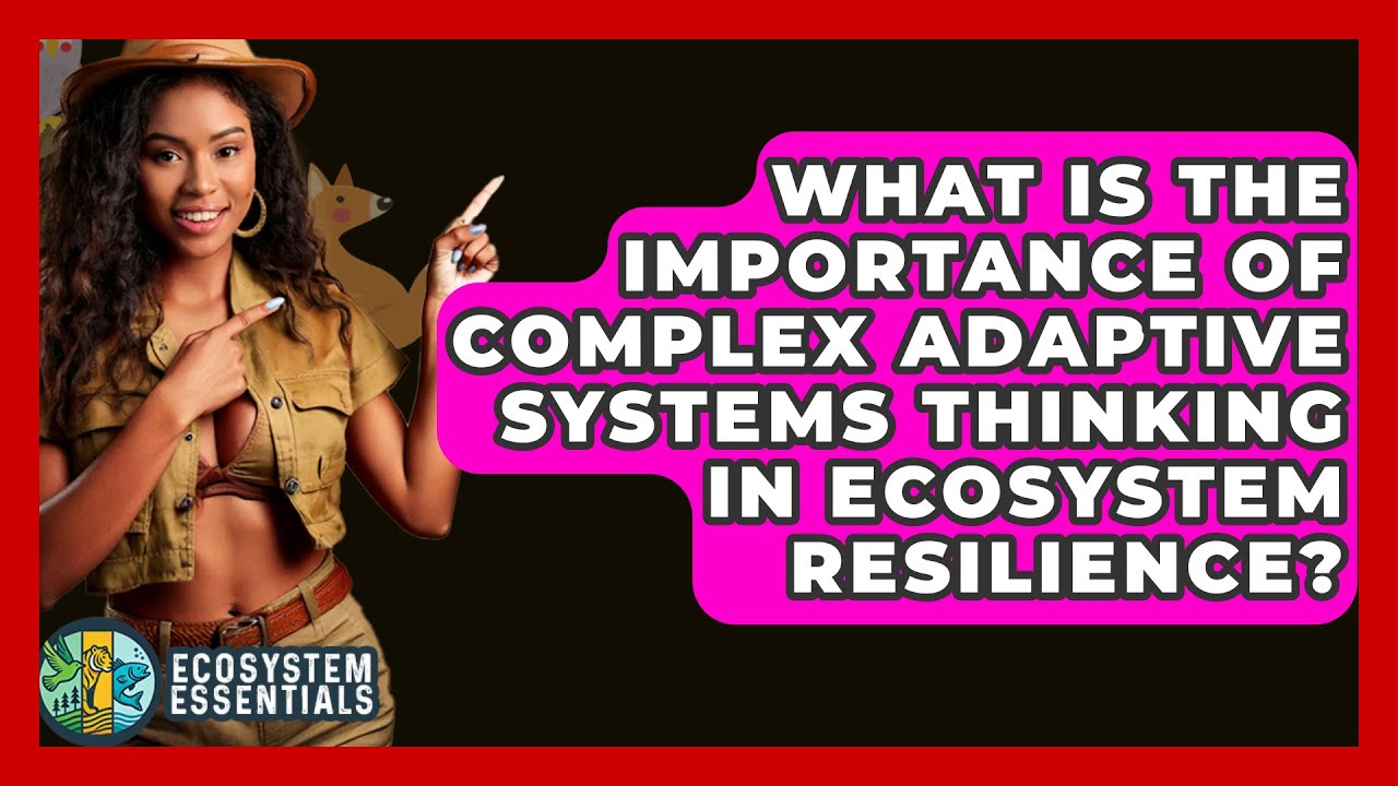 What Is the Importance of Complex Adaptive Systems Thinking in ...