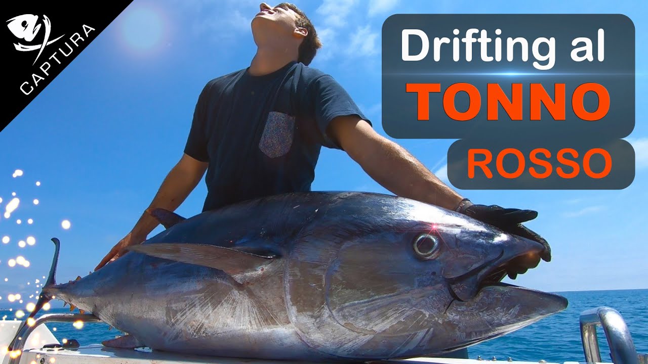 Pesca a Drifting al tonno rosso - Tonno Over 100 kg - YouTube
