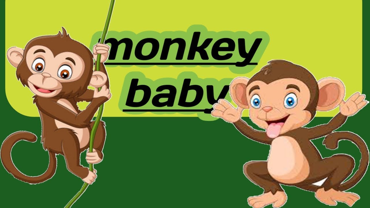 Smart Monkey with its Adorable Baby - YouTube