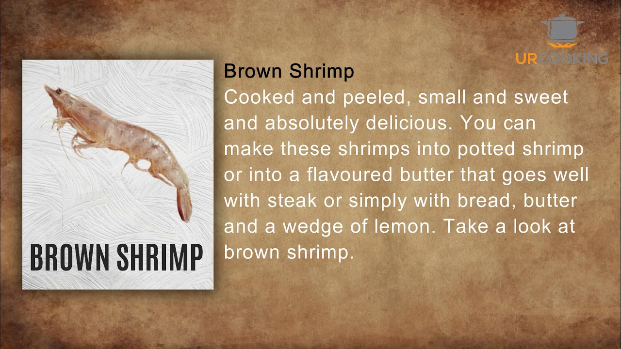 Types of Prawns - YouTube