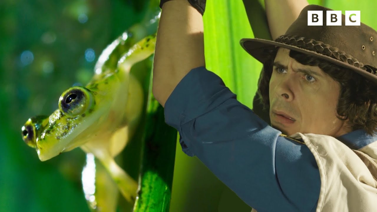 Karate Frog! 🐸 | Andy's Aquatic Adventures - YouTube