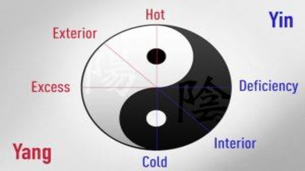 EIGHT PRINCIPLES SYNDROME DIFFERENTIATION - YouTube