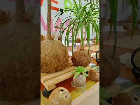 1. Stoawold Yoga Festival - 20.7.24 am Waldbadeweiher, in 95689 Fuchsmühl