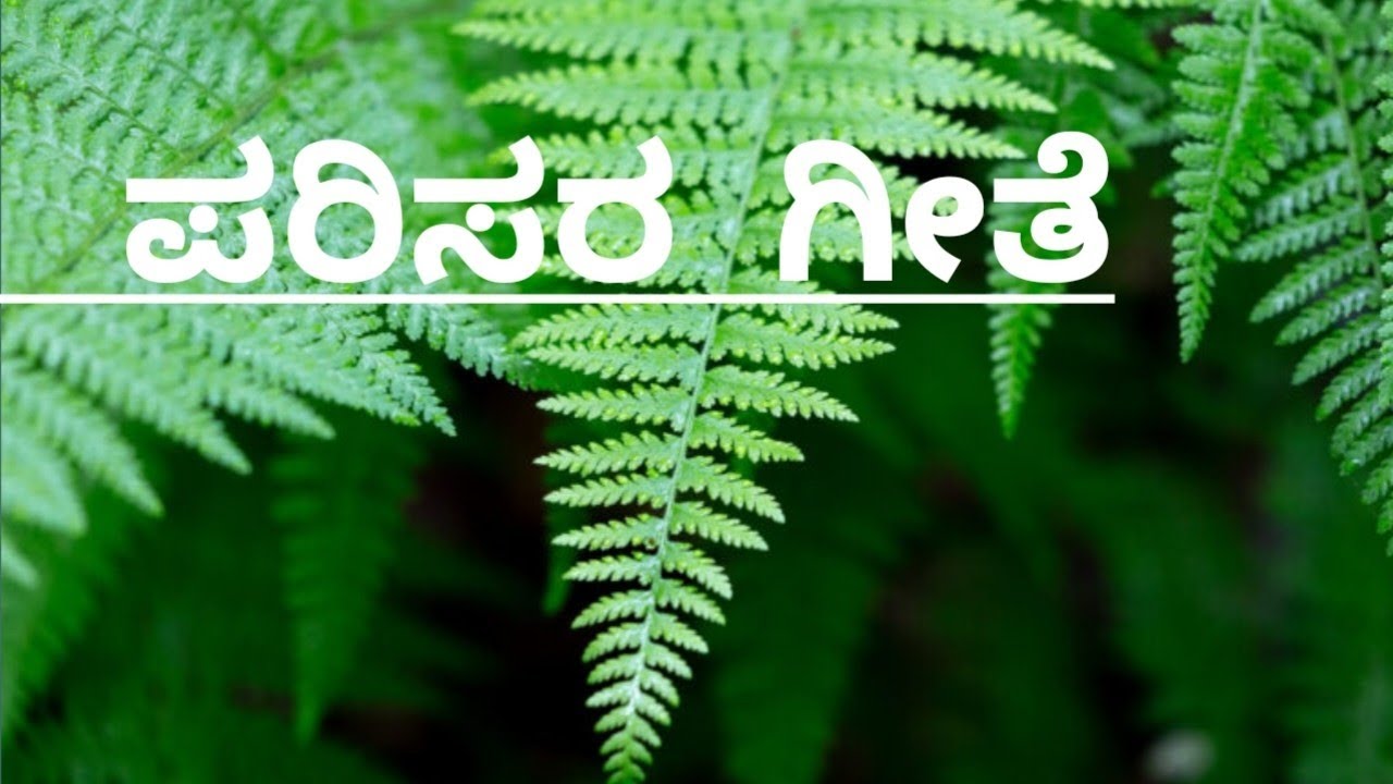 Parisara geethe |ಕನ್ನಡ ಹಾಡು |environmental day song in kannada |sutha ...