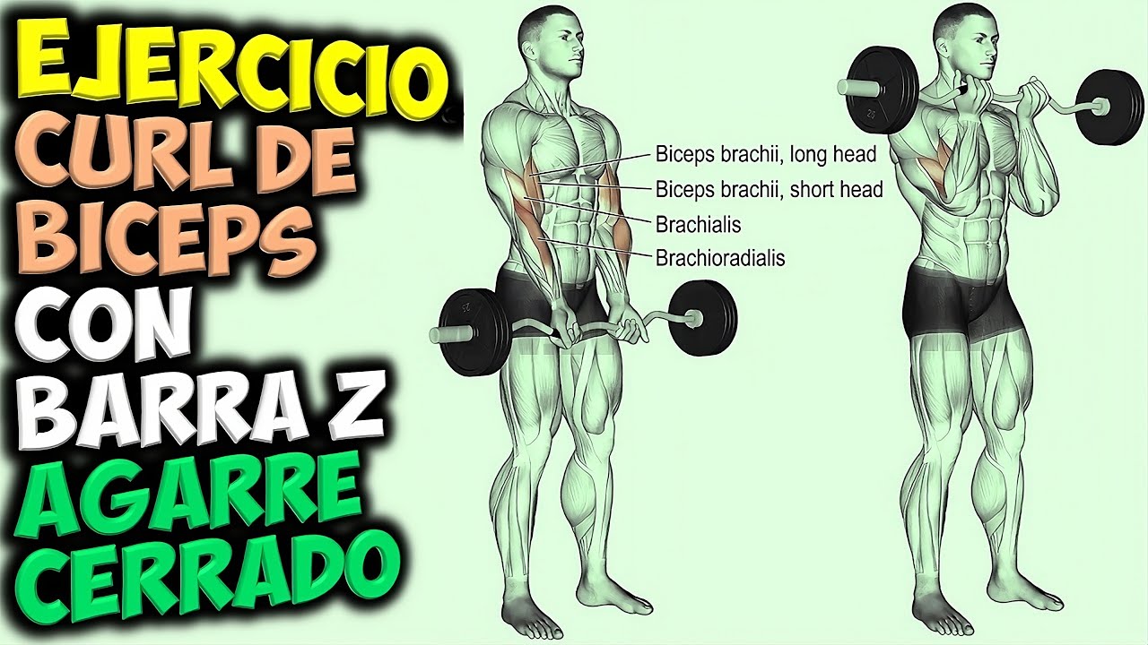 EJERCICIO 💪 El CURL De BICEPS Con BARRA Z 👉 Y Un AGARRE CERRADO | Ganar ...