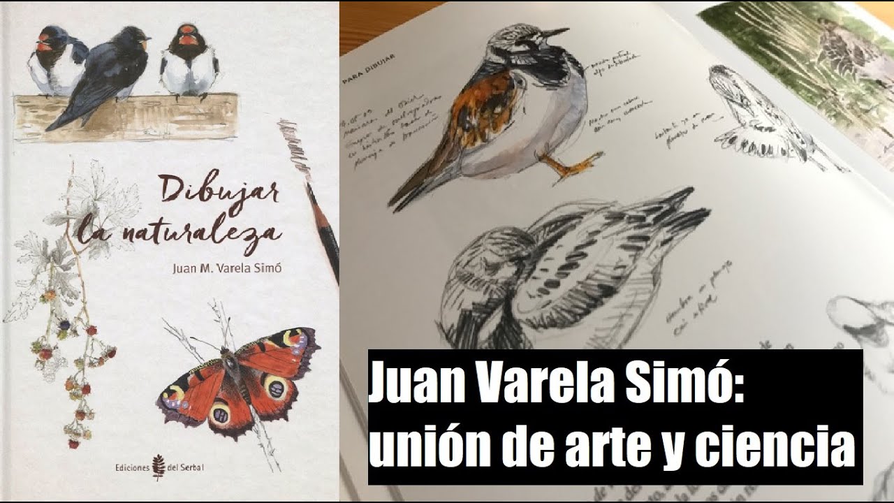 reseña: Juan Varela Simó: Dibujar la Naturaleza (Ediciones del Serbal ...