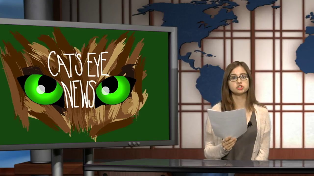 Renee Boudreau Anchor Reel - YouTube