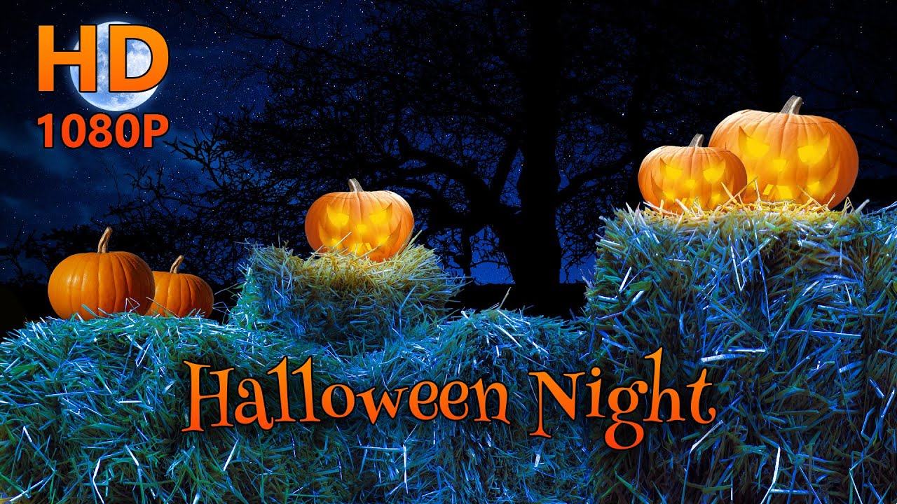 Halloween Night | Pumpkins in the Garden | Scary Night Sounds, Wolf ...