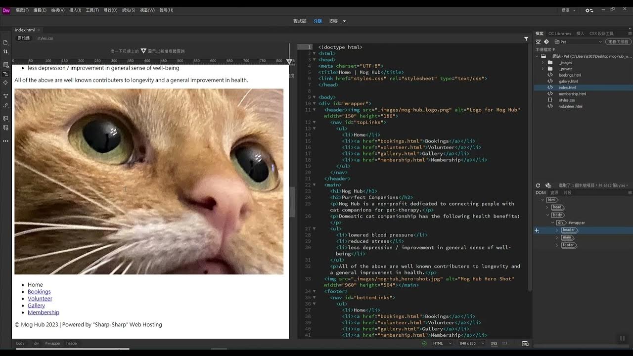 Dreamweaver : Using the CSS Designer Part-1 - YouTube