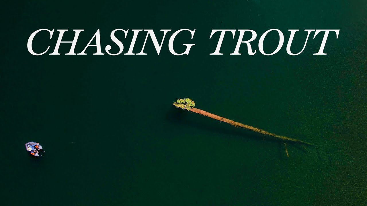 CHASING TROUT | Fly Fishing & Camping on Mountain Lakes & Streams in ...