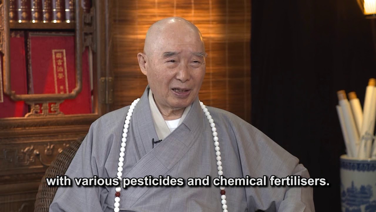 Cherish Life and Please Do Not Kill Animals (Part 1) 主講者: 淨空老法師(English ...