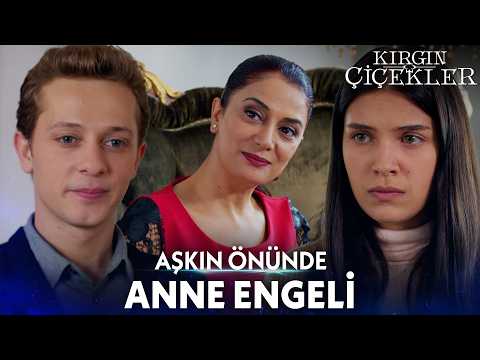 Eylül, Nazan Tarafından Dışlanıyor! - Kırgın Çiçekler Kolaj