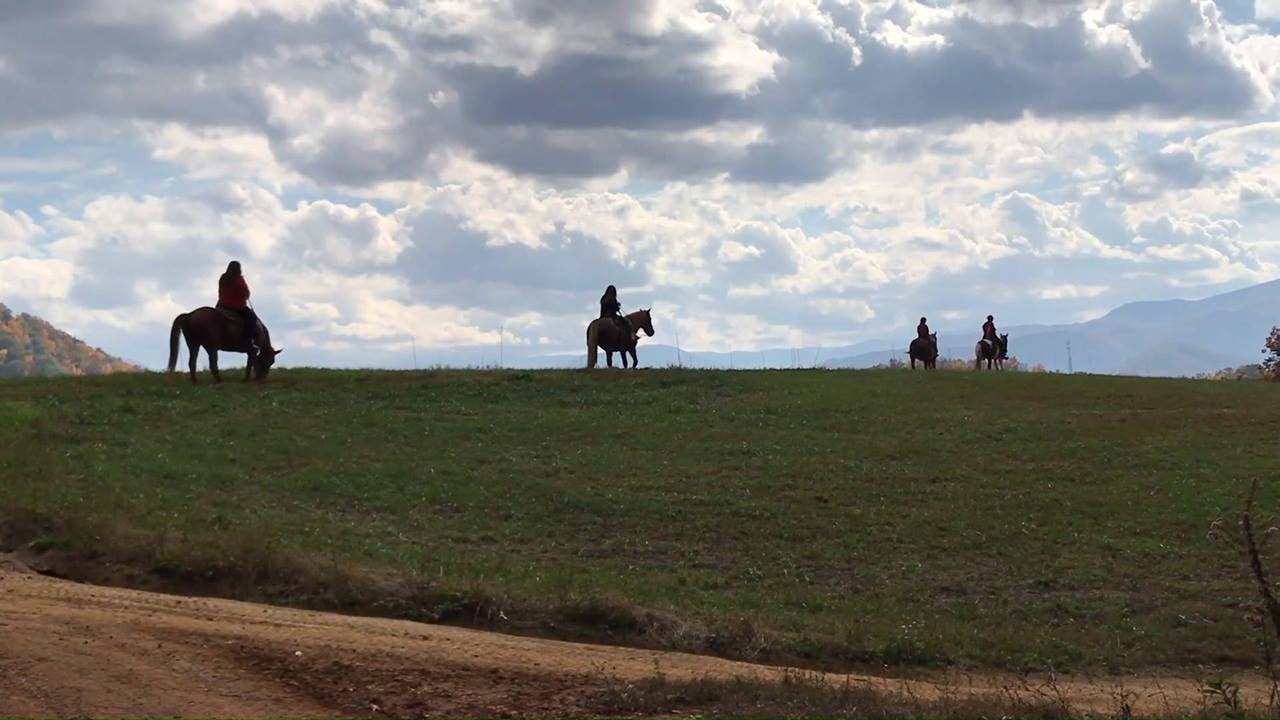 Jayell Ranch - Horseback Riding in the Smoky Mountains - YouTube