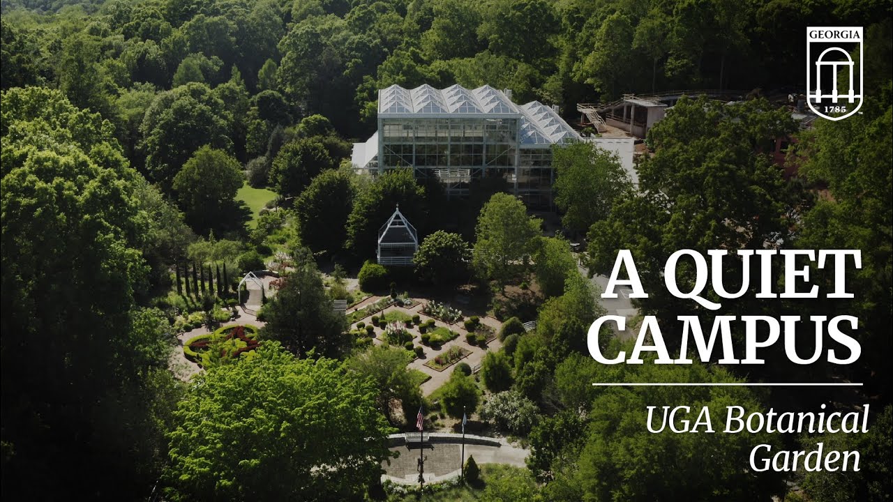 A New Perspective on UGA's Botanical Garden - YouTube