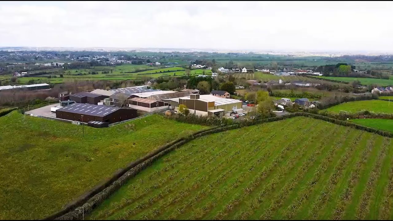 Mackle Corporate Video 2022 - From field to bowl - YouTube