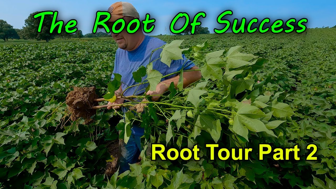 The Root Of Success: 2023 Root Tour Part 2 - YouTube