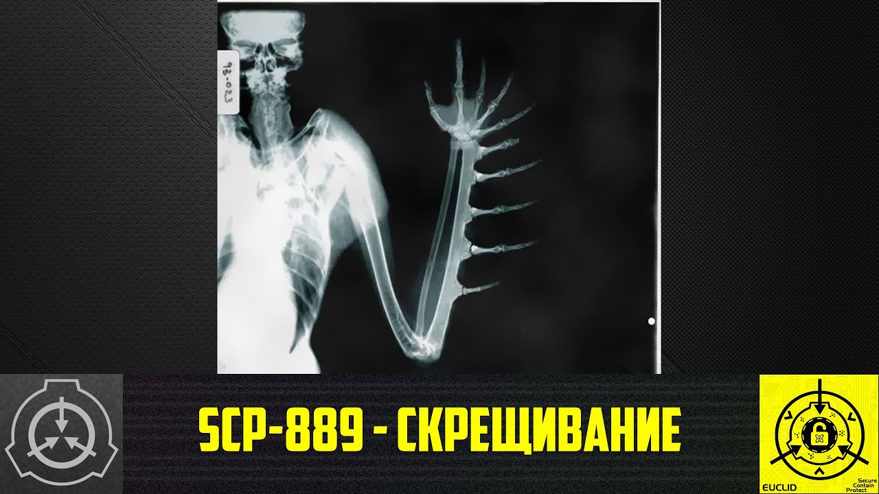SCP-889 - Скрещивание 【СТАРАЯ ОЗВУЧКА】 - YouTube
