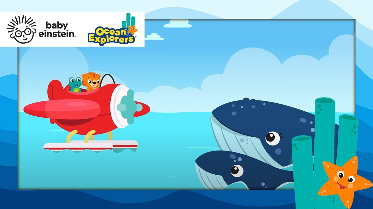 Swimming Home with Humpback Whales 🎵 | LOOOPED SONG | Baby Einstein ...