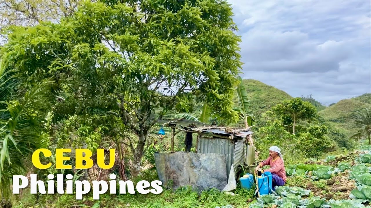 Hiking to our Old Farm in Cebu, Philippines | Farming a bit, as I used ...