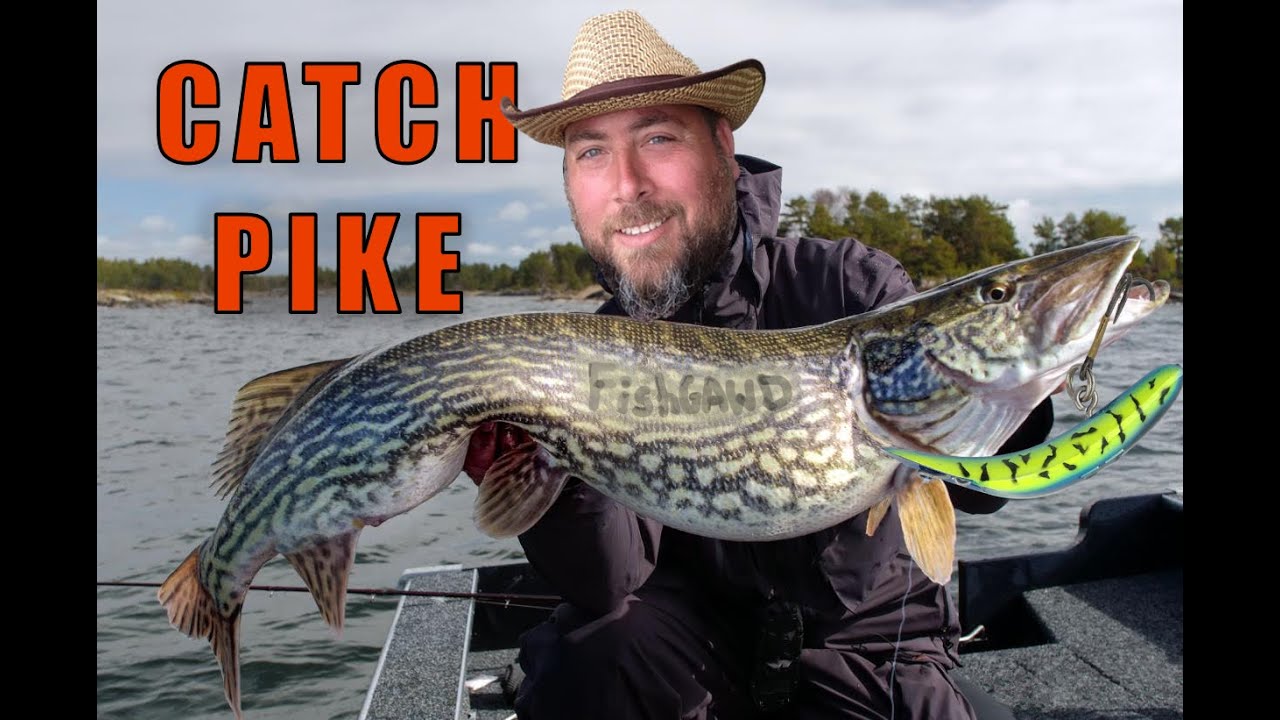 HOW TO CATCH HUGE PIKE ON A 6" FLATFISH - YouTube
